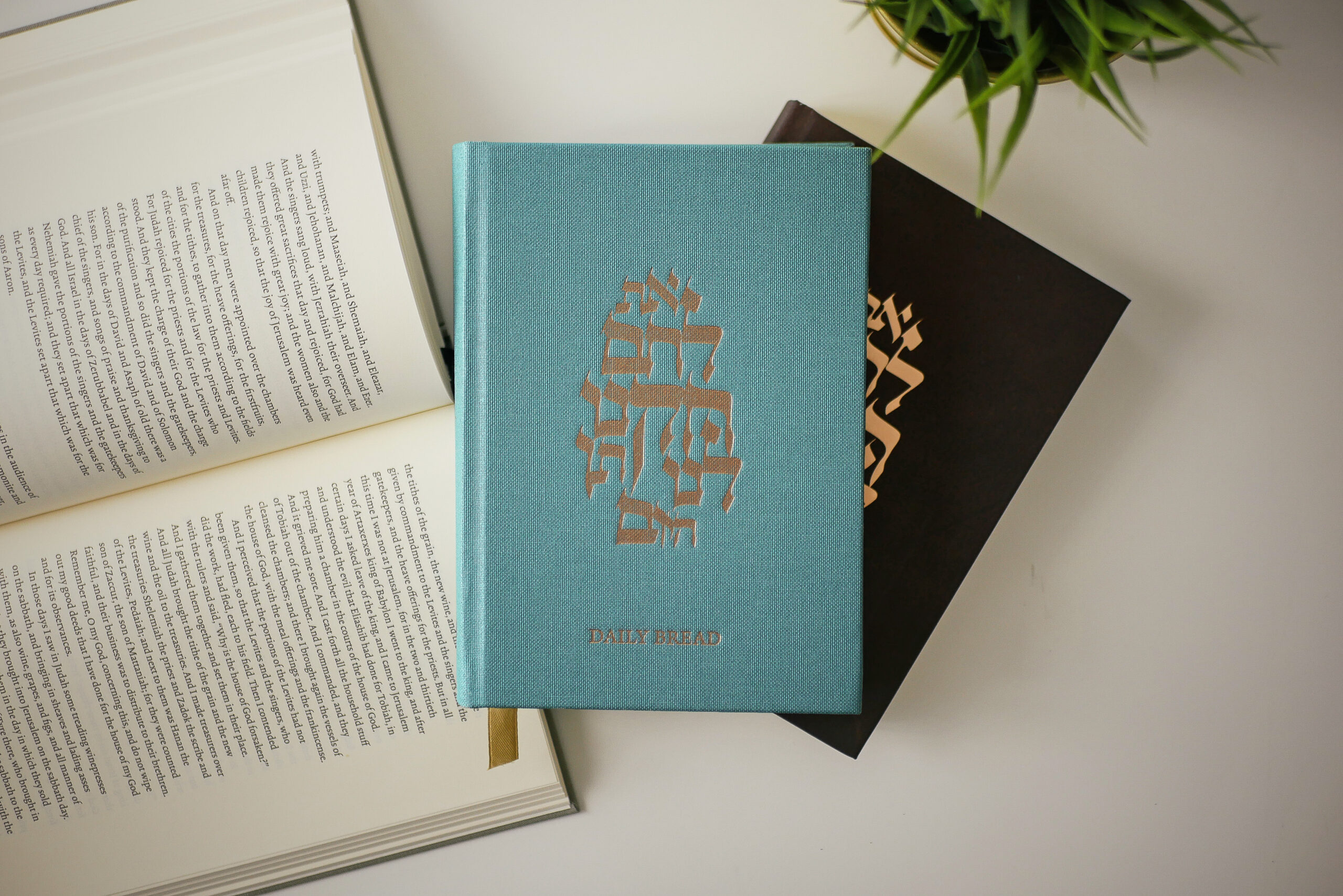 Daily Bread | A Messianic One-Year Bible Reading Journal